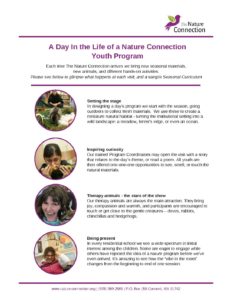 Sample Youth Program and Curriculum - The Nature Connection