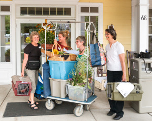 Our Mission - The Nature Connection