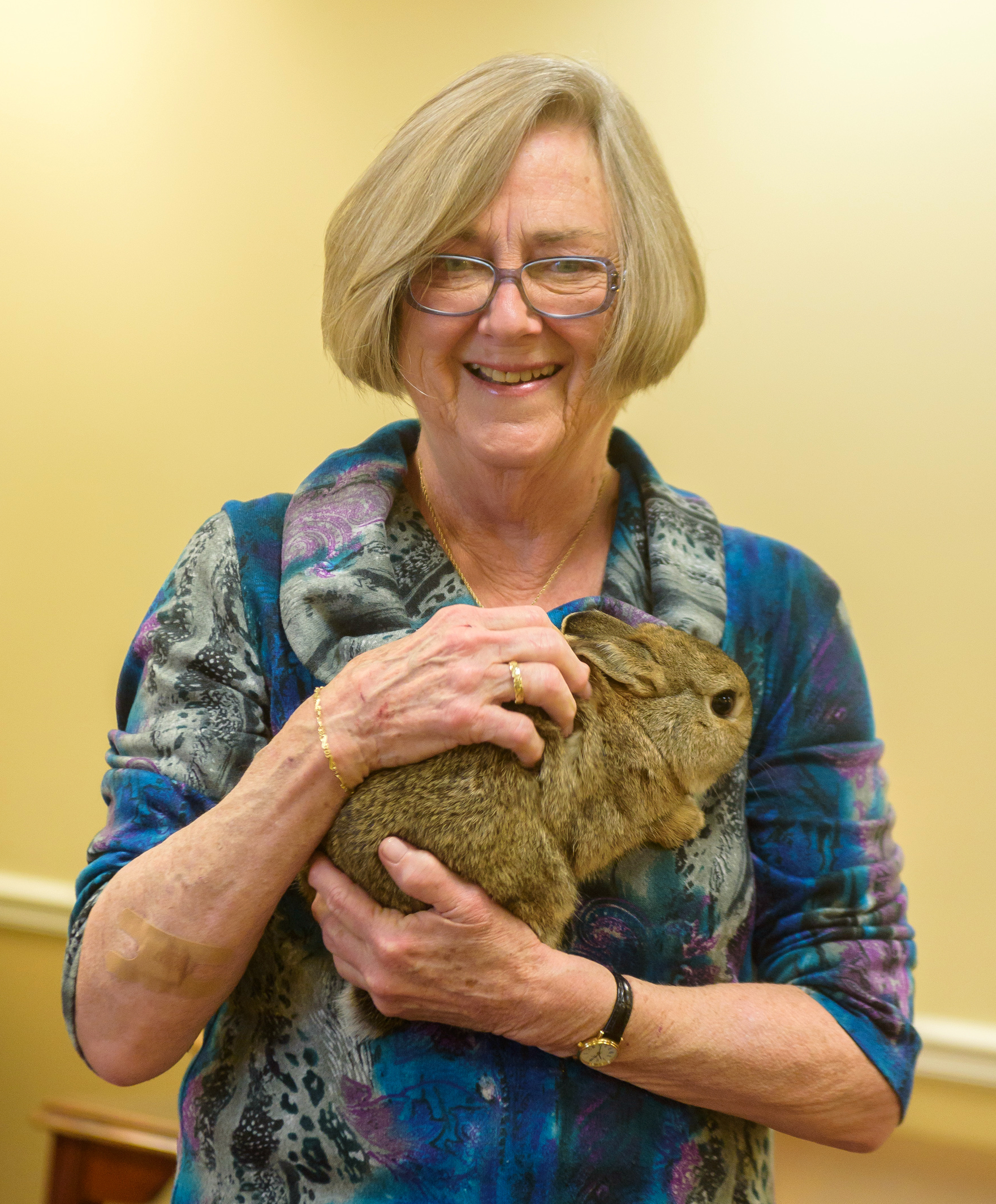 Sue Dobbie | The Nature Connection