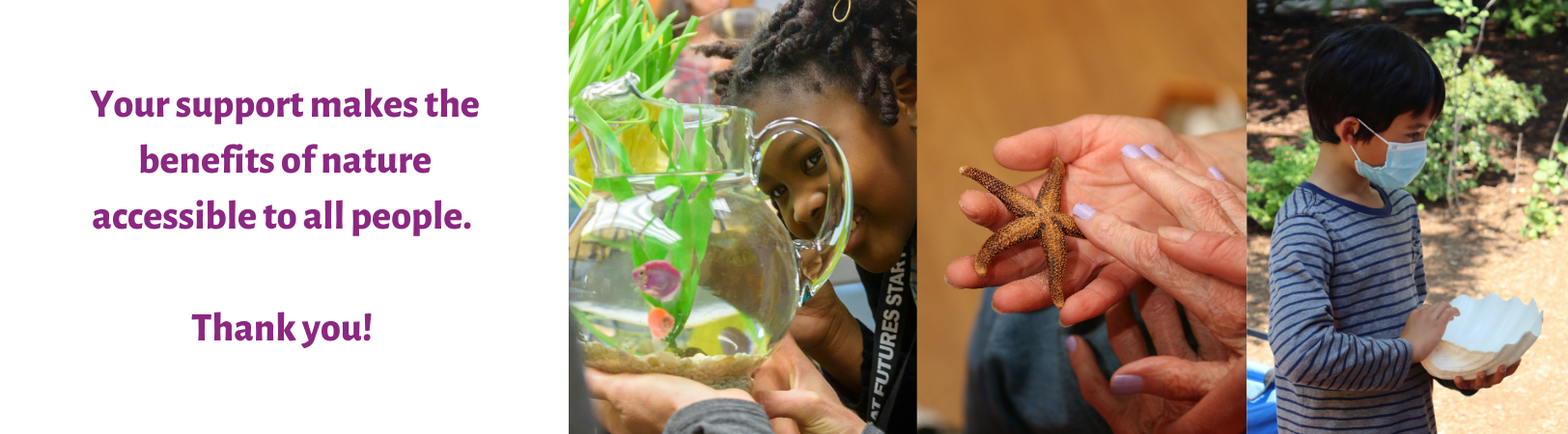 Hope. Courage. Compassion. | The Nature Connection