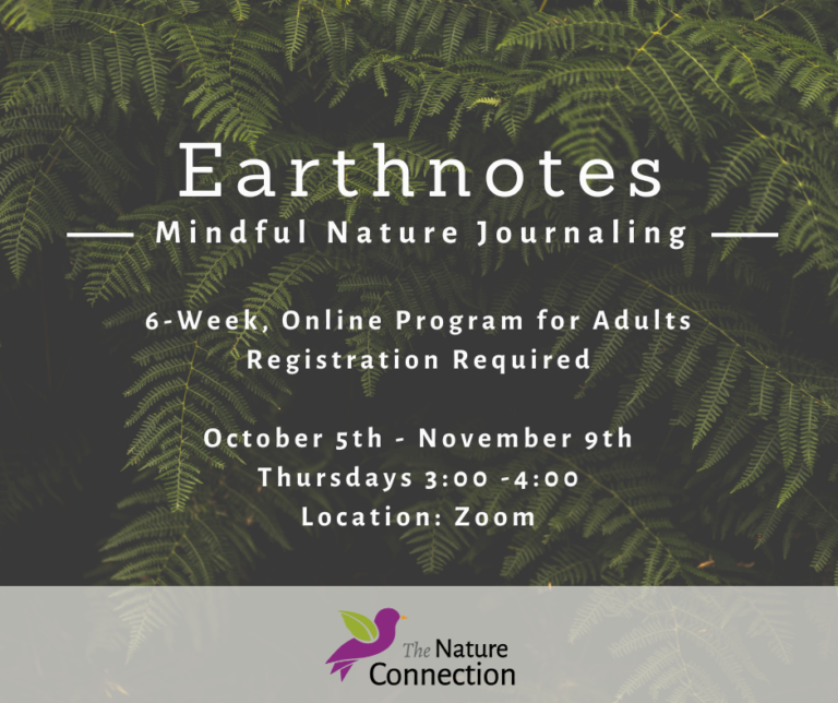 Earthnotes: Mindful Nature Journaling for Adults | The Nature Connection