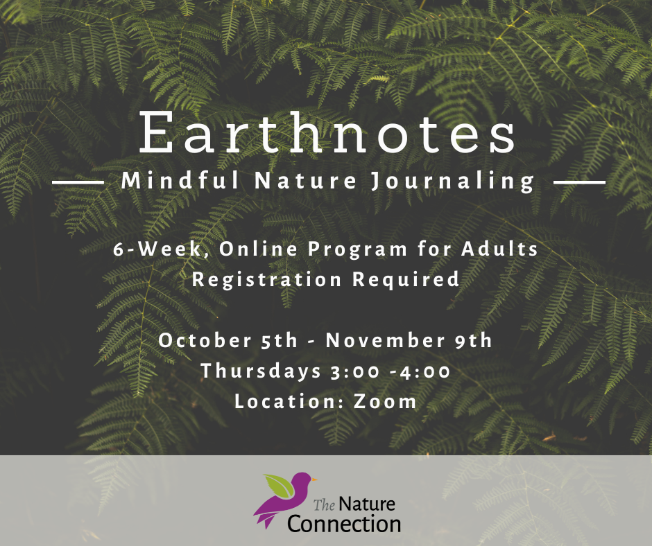 Earthnotes: Mindful Nature Journaling for Adults | The Nature Connection