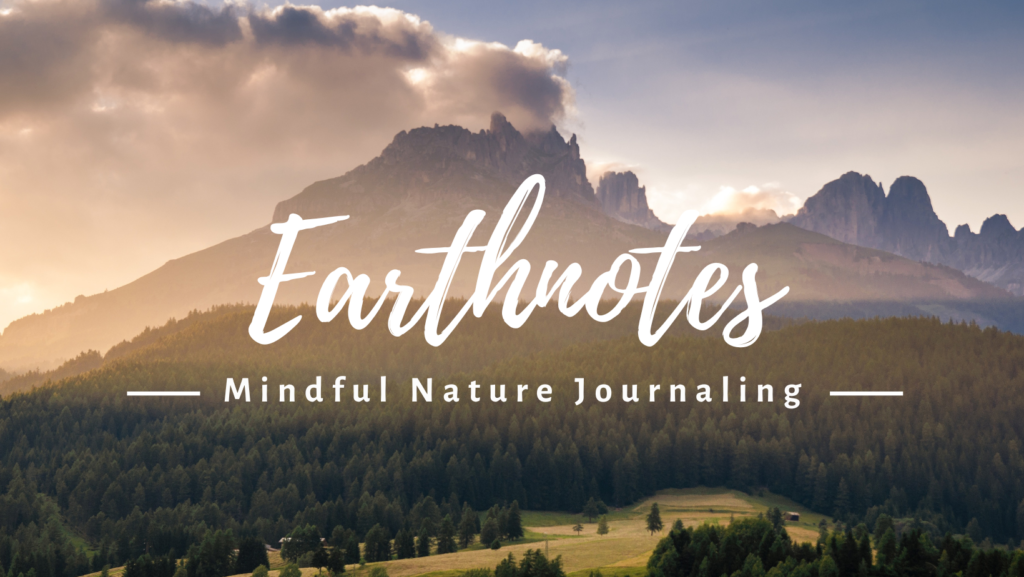 Earthnotes: Mindful Nature Journaling | The Nature Connection