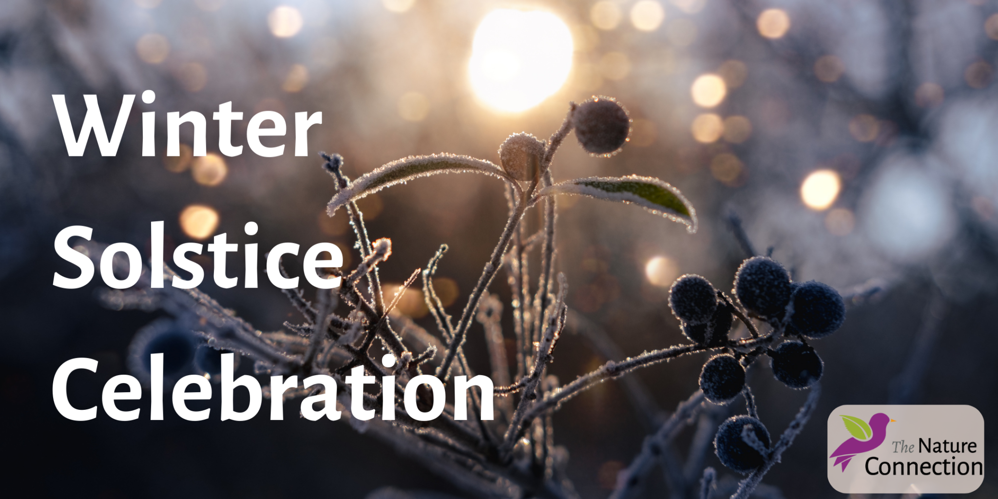 Winter Solstice Celebration | The Nature Connection