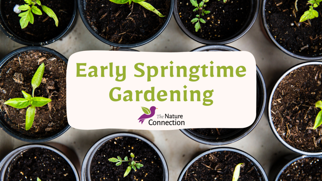 Early Springtime Gardening | The Nature Connection