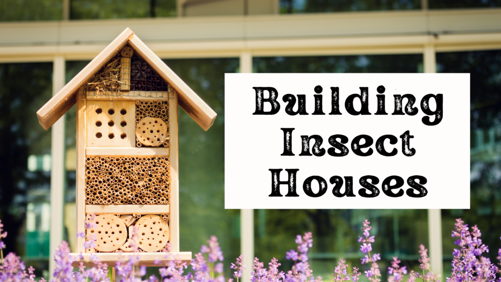 Building Insect Houses | The Nature Connection