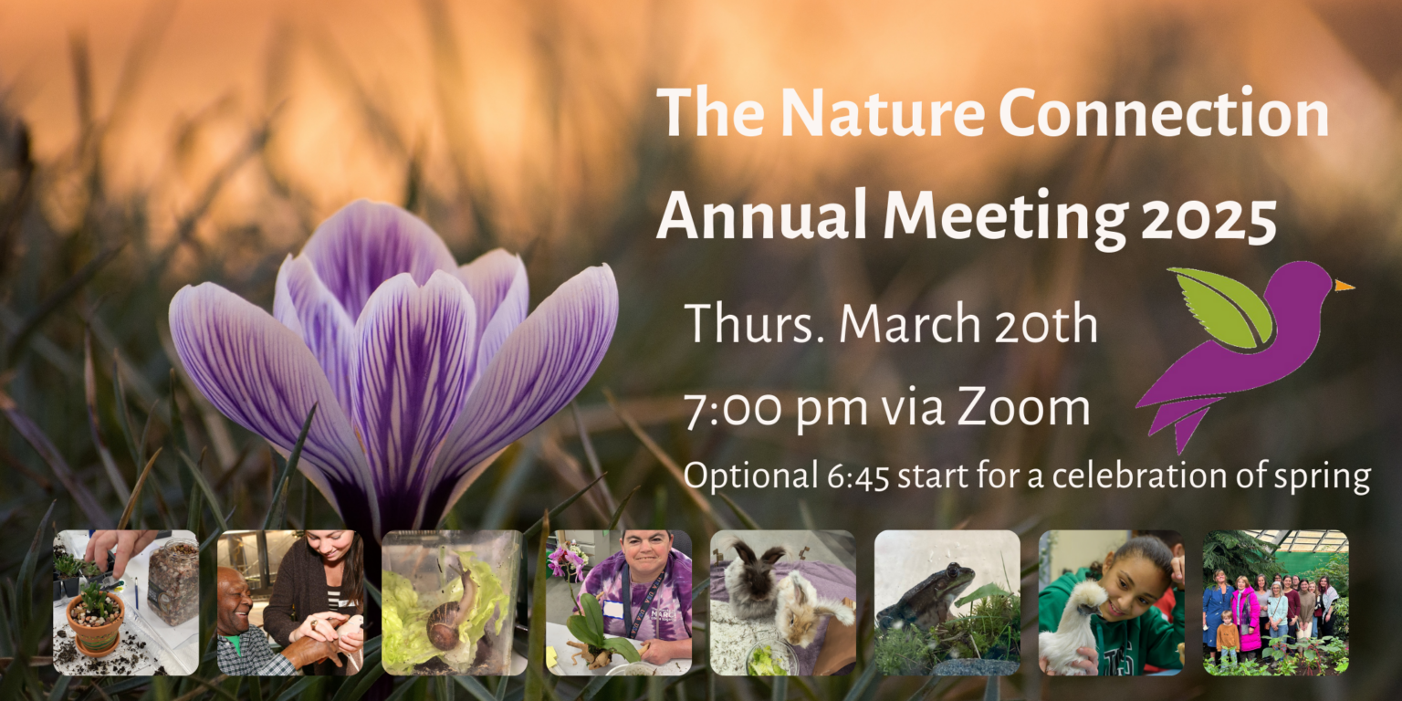 Our Mission - The Nature Connection