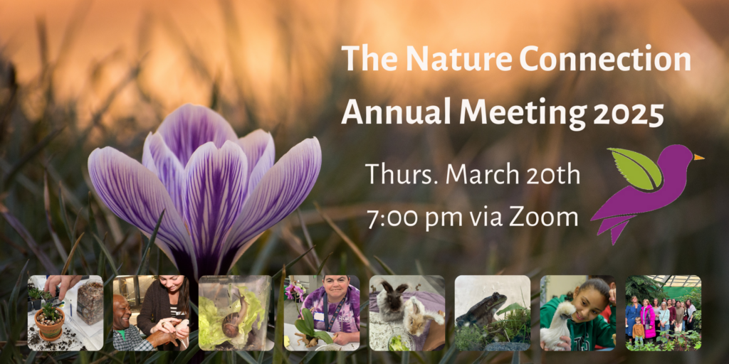 Our Mission - The Nature Connection